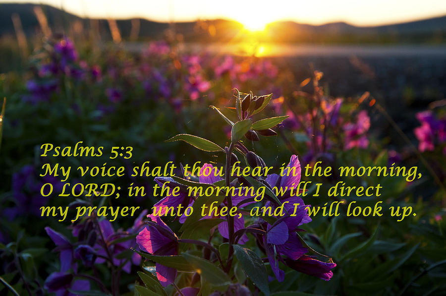 Psalms Chapter 5 Verse 3 Photograph By Arlene Rhoda Nanouk Psalms Chapter 5 Verse 3 Photograph By Arlene Rhoda Nanouk
