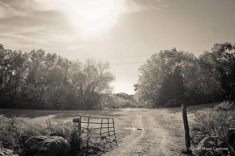 Fall In Black And White Photograph by Jerri Moon Cantone