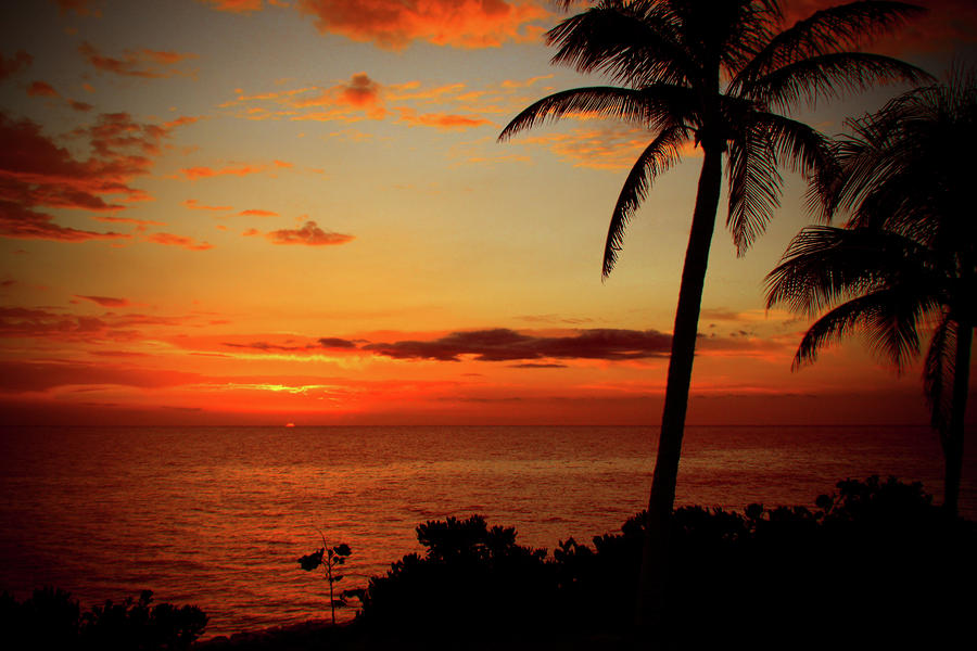 Jamaican Sunset By Kamil Swiatek
