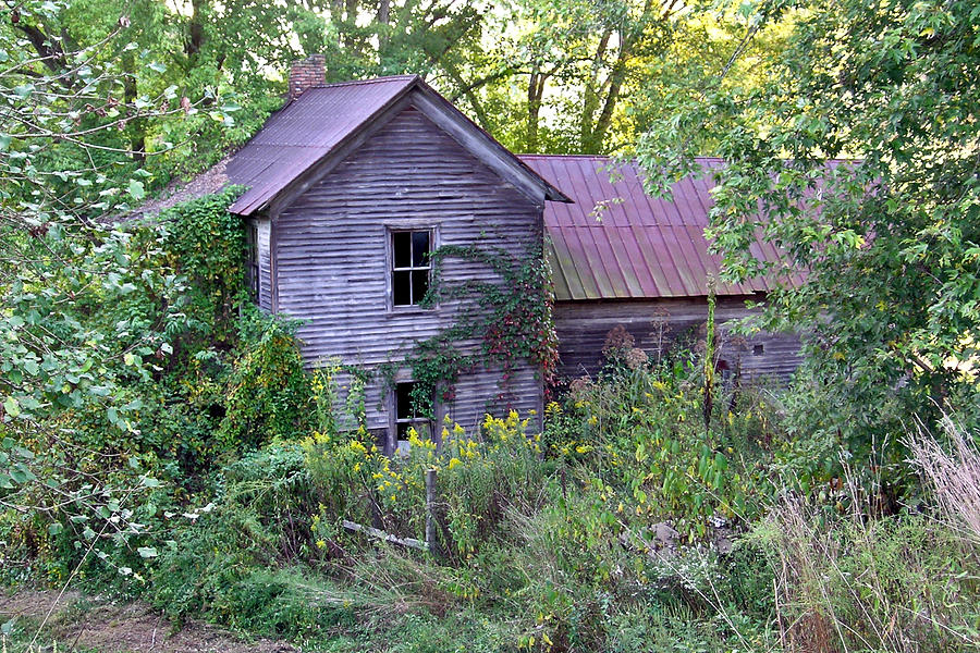 Overgrown Abandoned 1800 Farm House by Douglas Barnett