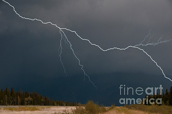 Lightning #4 T-Shirt by Mark Newman - Science Source Prints