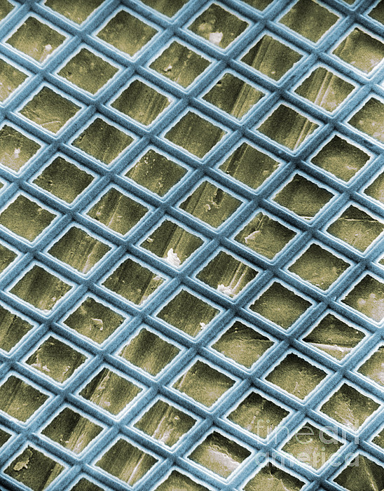 Nickel Electron Micrograph Grid Jigsaw Puzzle by David M. Phillips ...
