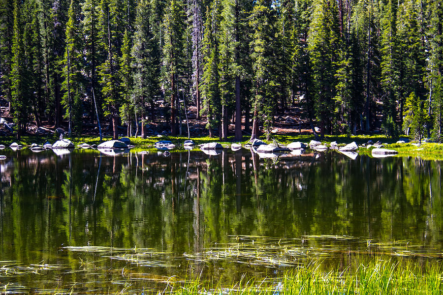 Granite Reflections Photograph by Brian Williamson - Fine Art America