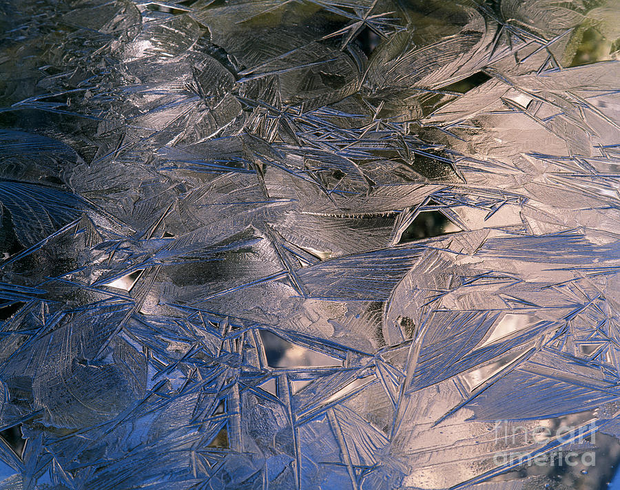 Ice Pattern Photograph by Tracy Knauer - Fine Art America