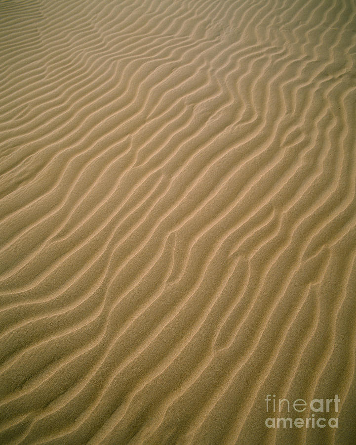 Oceano Dune Pattern Photograph by Tracy Knauer - Pixels