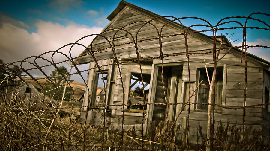 .. Photograph by Amber Gundersen - Fine Art America