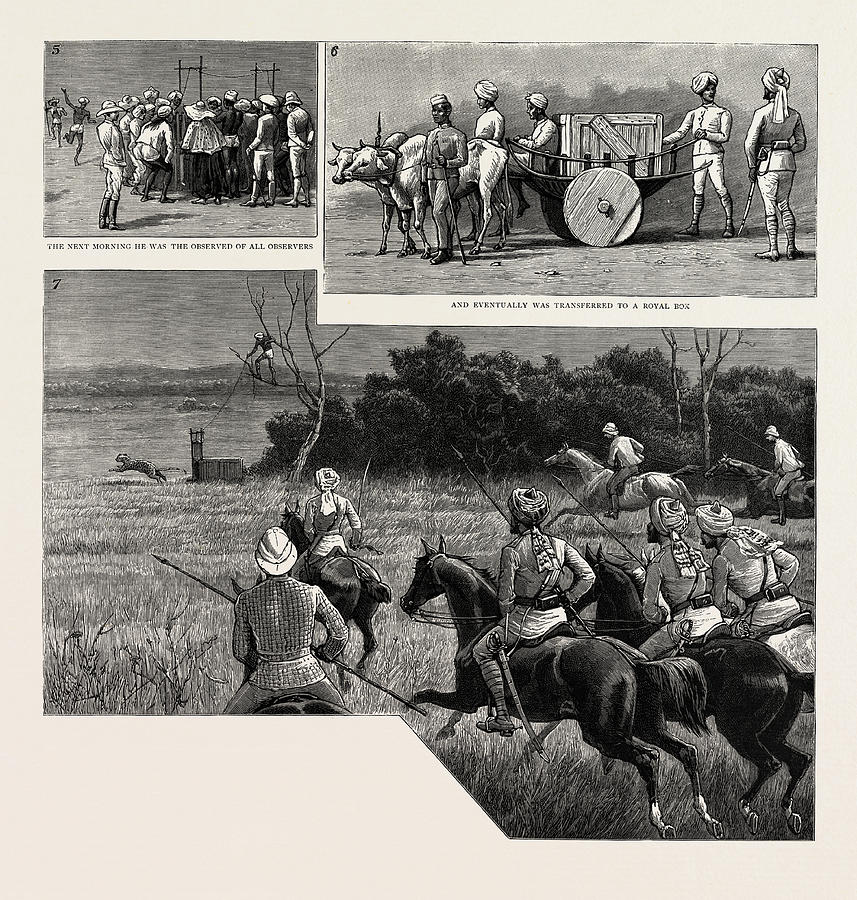 A Leopard Hunt In Upper Burma Drawing by Litz Collection