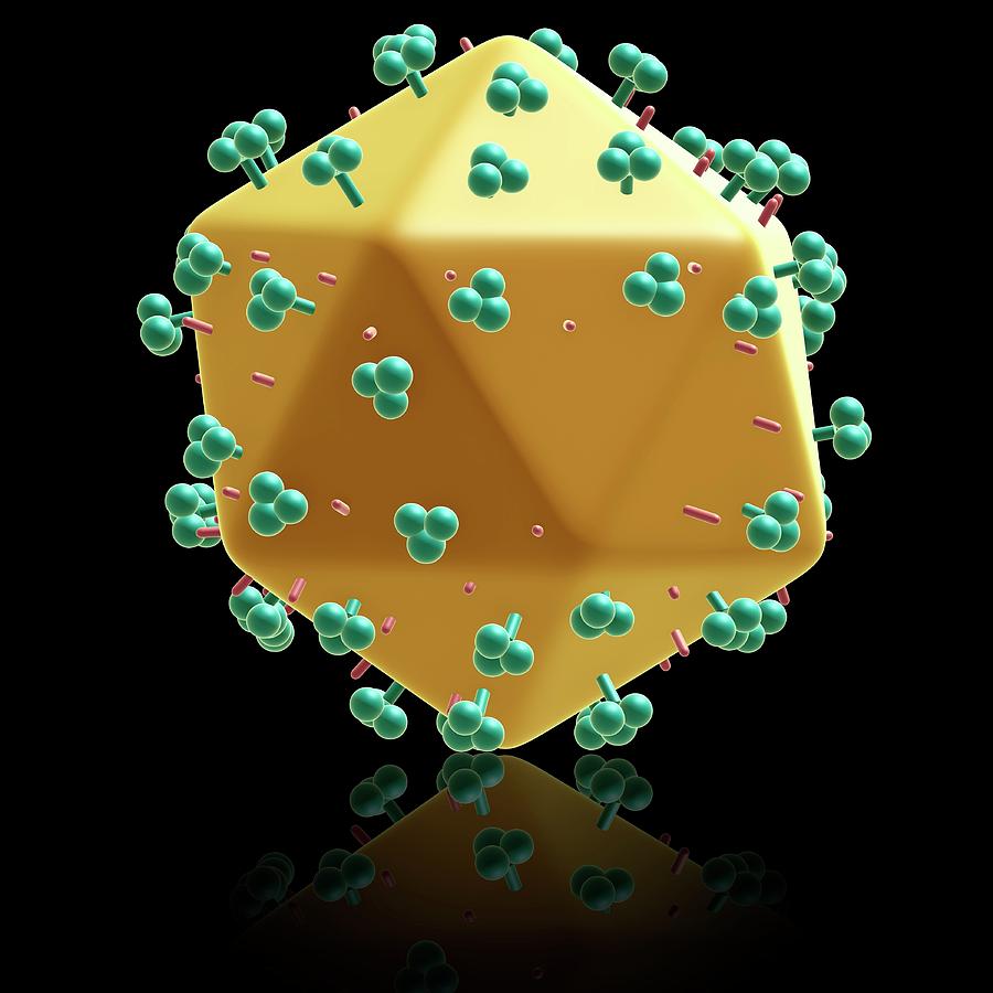 Aids Virus Particle Photograph by Pixologicstudio/science Photo Library - Fine Art America