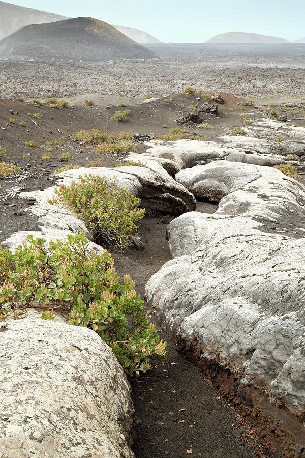 Ancient Lava Flow Photograph by Bob Gibbons/science Photo Library ...