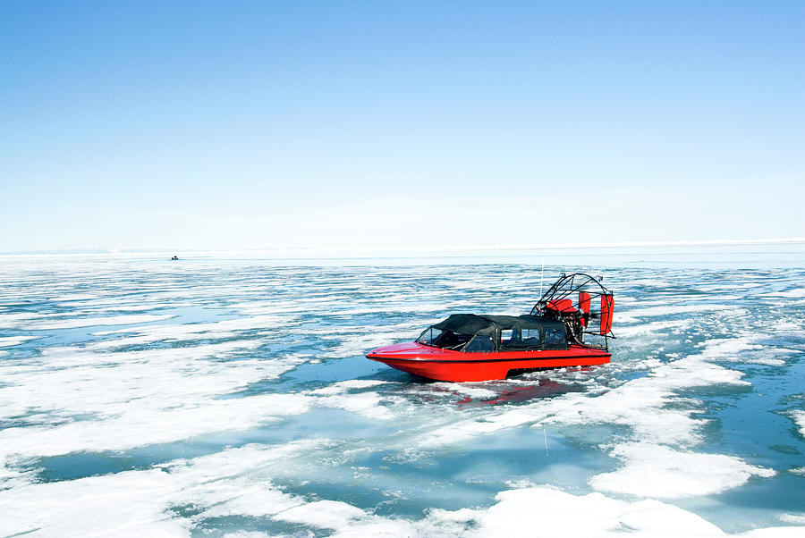 Arctic Transport #1 by Louise Murray/science Photo Library