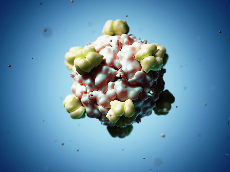 Bacteriophage X-174 Particle Photograph by Sciepro/science Photo Library - Pixels