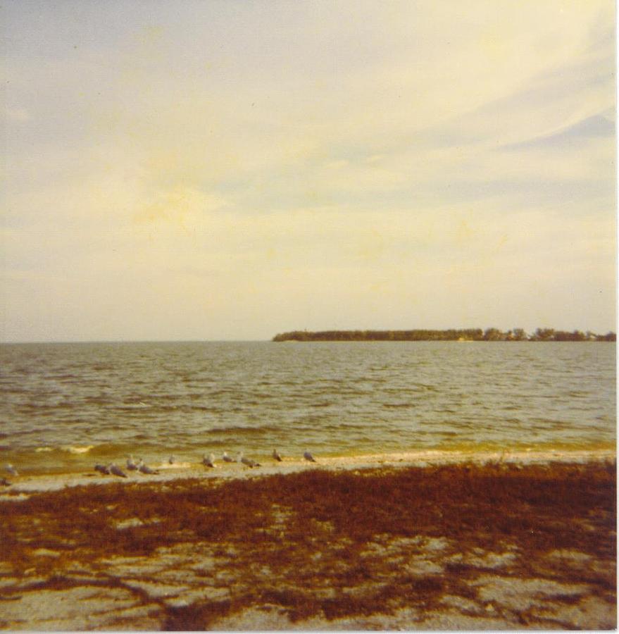 Beachfront Photograph by Robert Floyd - Fine Art America