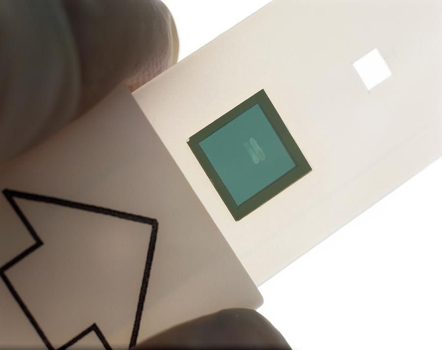 Biosensor Chip Photograph by Simon Fraser/science Photo Library - Fine ...