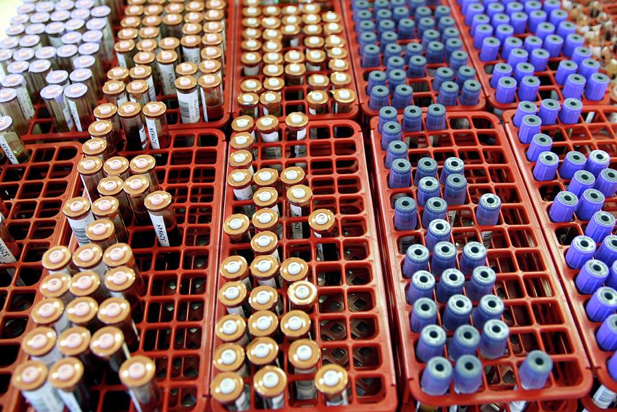 Blood Donation Testing Vials #1 by Science Photo Library