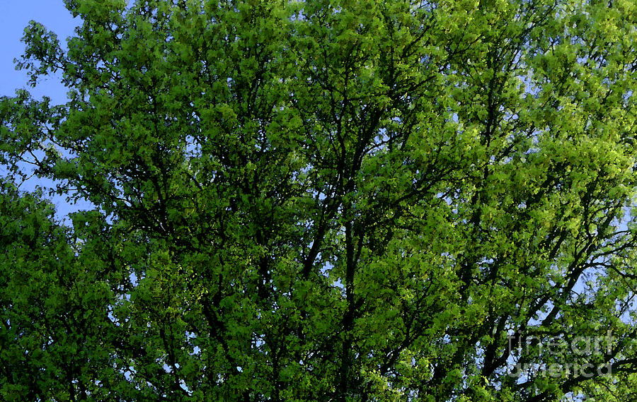 Bryant Digital Art by Machiko Studio - Fine Art America