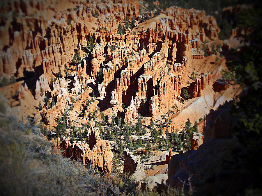 Bryce Amphitheatre Photograph By Jens Larsen Fine Art America