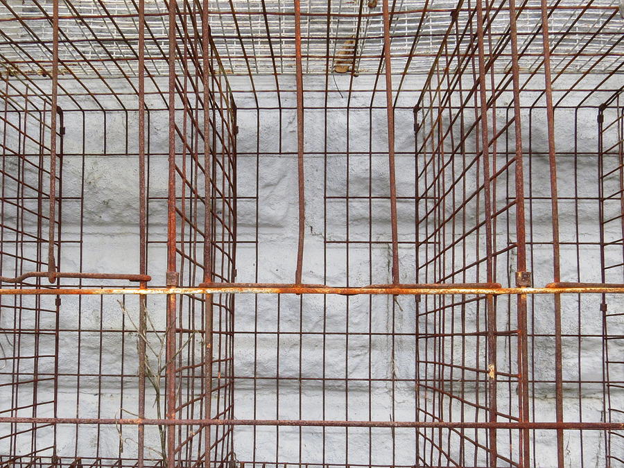Caged Infinity Photograph by David Milliner - Fine Art America