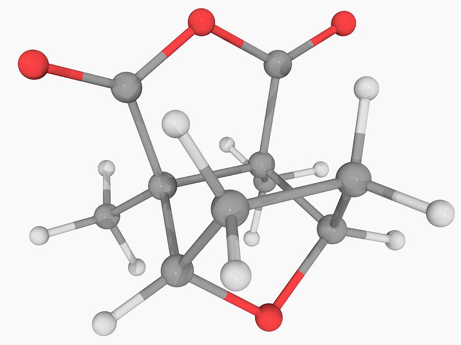 Cantharidin Molecule Photograph by Laguna Design/science Photo Library ...