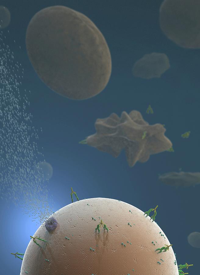 Complement System Photograph by Tim Vernon / Science Photo Library ...