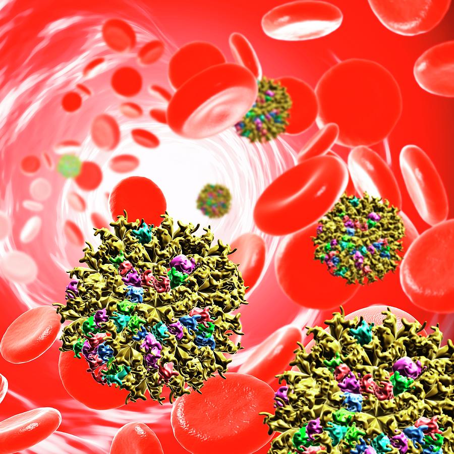 Cucumber Mosaic Virus Photograph by Pixologicstudio/science Photo Library - Fine Art America