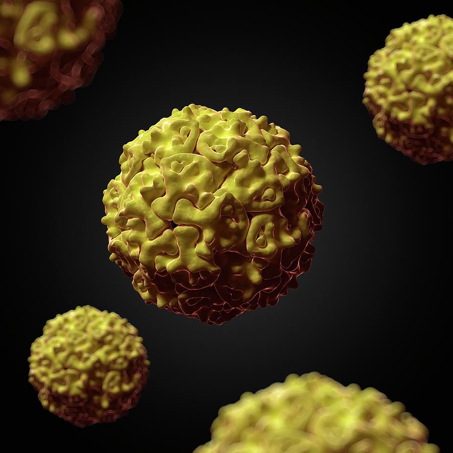 Densovirus Particle Photograph by Sciepro/science Photo Library - Pixels