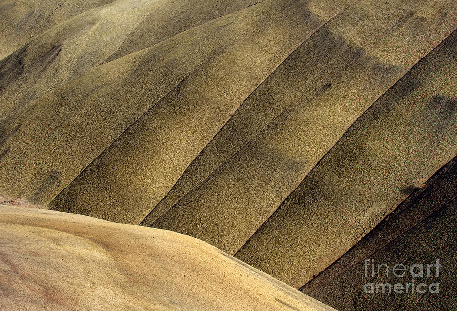 Desert Lines Photograph by Michael Dawson