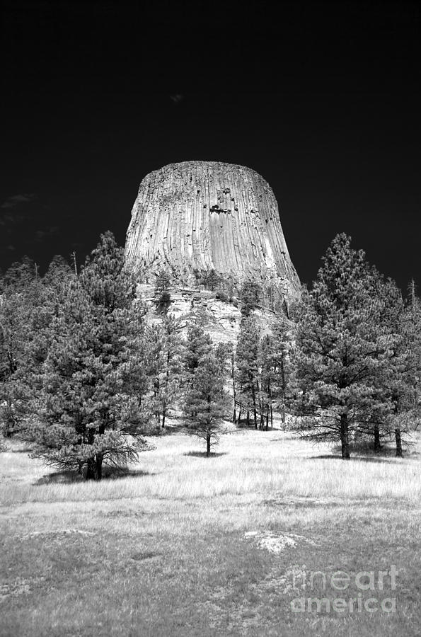 Devil's Tower #1 Photograph by David Gilder - Pixels