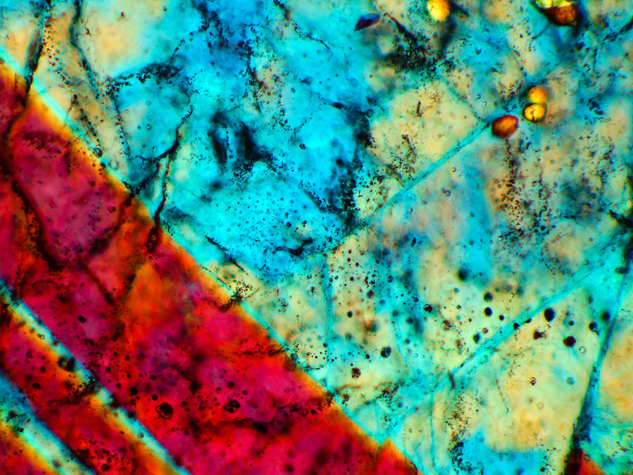 DHO 007 Eucrite 160x Photograph by Tom Phillips - Fine Art America