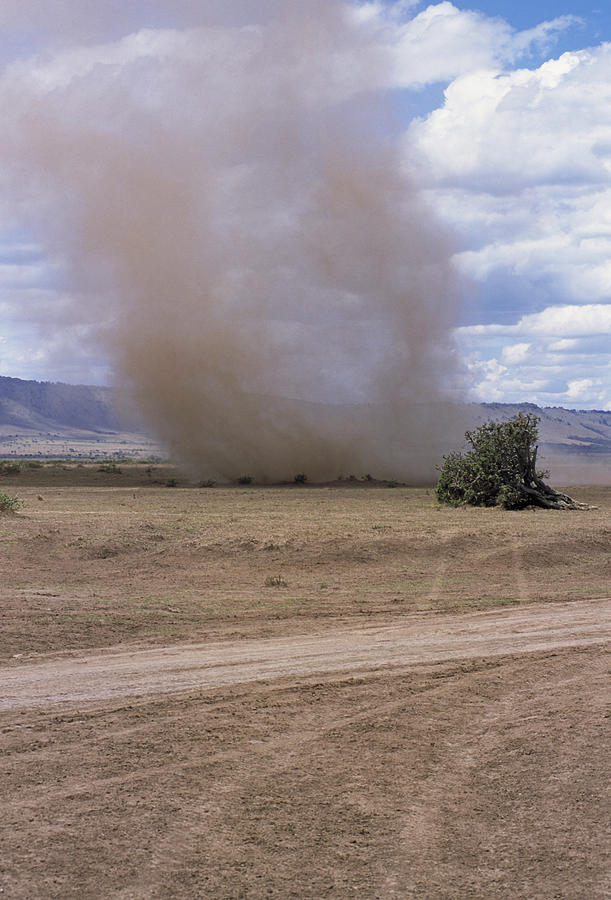 Dust Devil Photograph by Mary Beth Angelo - Fine Art America
