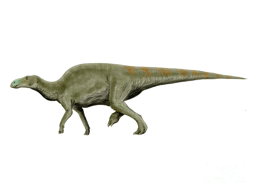 Edmontosaurus Dinosaur Digital Art By Nobumichi Tamura Fine Art America