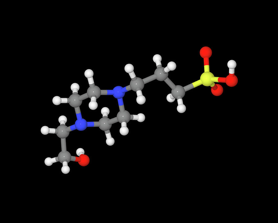 Epps Molecule Photograph by Dr Tim Evans - Fine Art America
