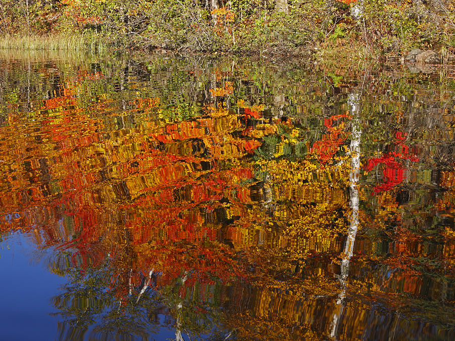 Fall reflection #1 Photograph by Mark Wallner - Pixels
