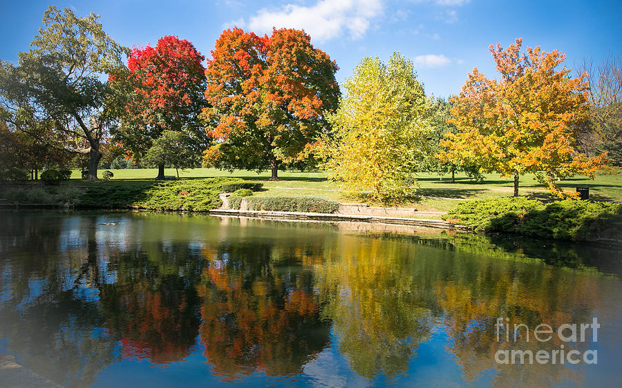 Fall Tree Reflection #1 Photograph by Sue Huffer - Fine Art America