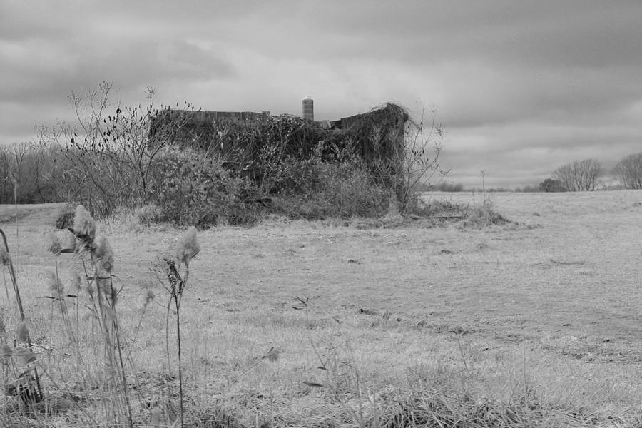 Falling down Photograph by William Tegtmeyer - Fine Art America