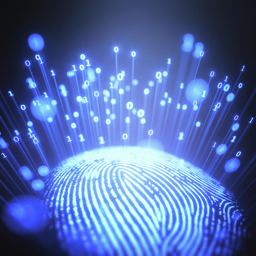 Fingerprint With Binary Code Photograph by Ktsdesign/science Photo ...