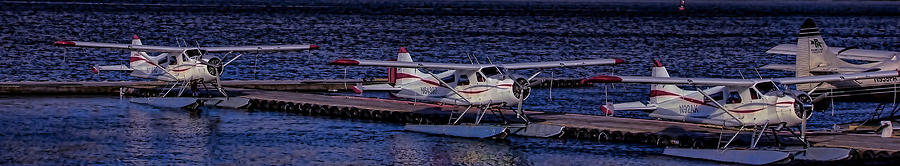Float Plane dock Photograph by Timothy Latta - Fine Art America