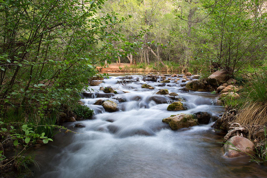 Spring Flow Photograph by Steve Wile - Fine Art America