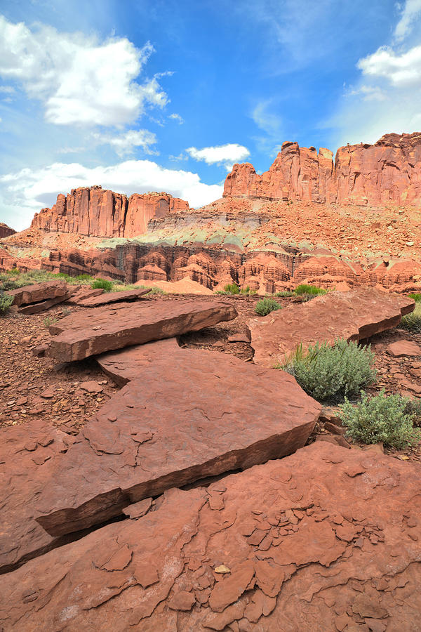 Fluted Wall Photograph by Ray Mathis - Fine Art America