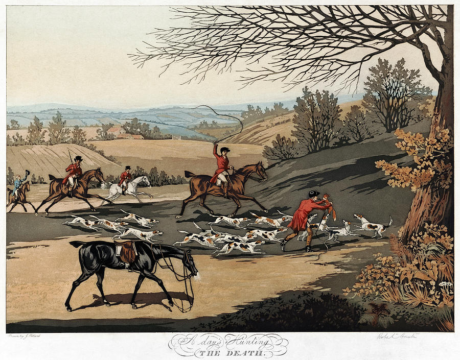 Fox Hunt, C1815 Painting by Granger - Fine Art America