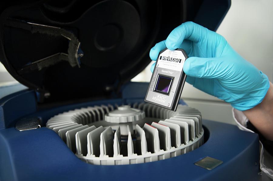 Genetic Microarray #1 Photograph by Arno Massee - Fine Art America