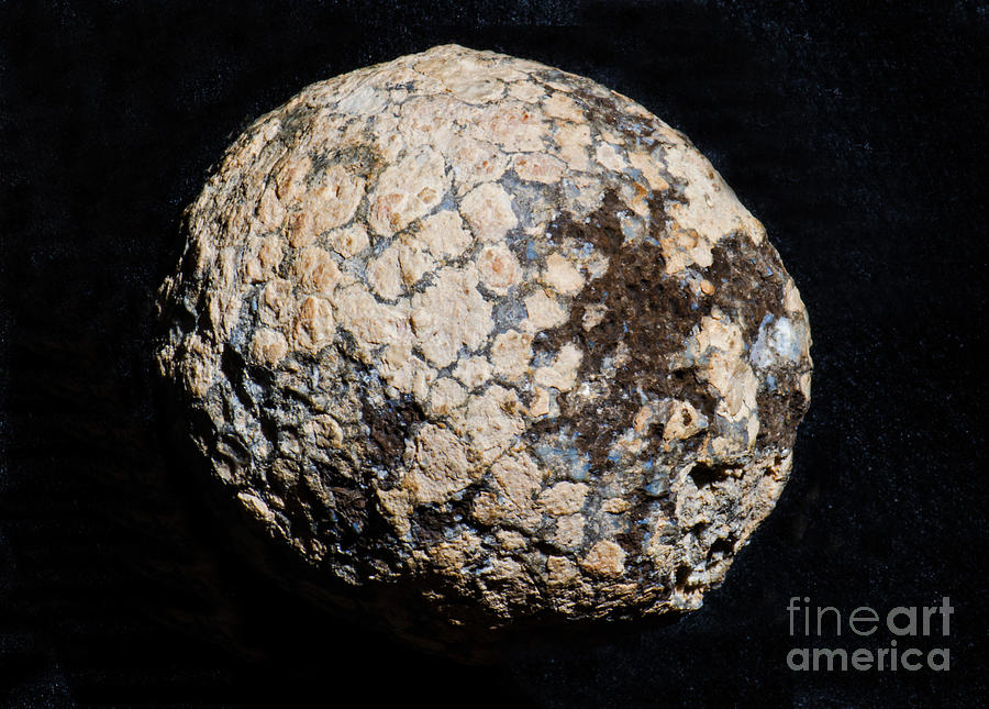 Geode Unopened Photograph by Millard H. Sharp - Fine Art America