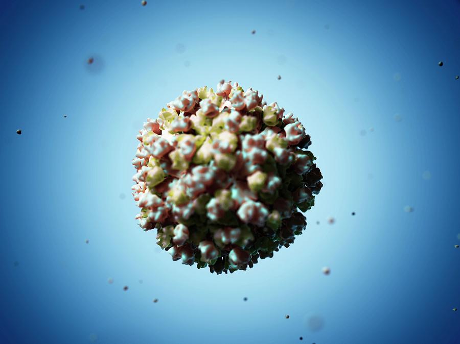 Hepatitis E Virus Particle #1 Photograph by Sciepro/science Photo Library - Pixels