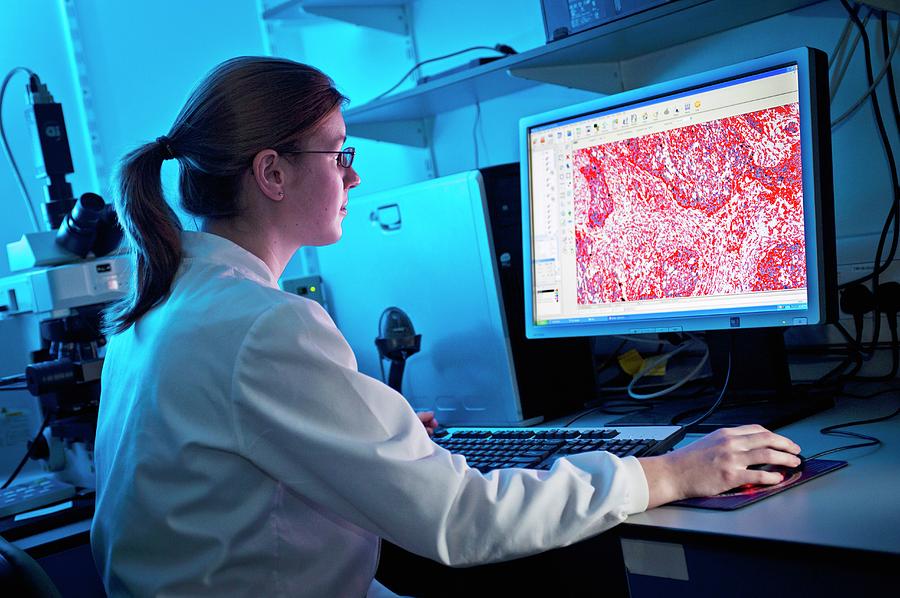 Histopathology Photograph by Dan Dunkley - Pixels