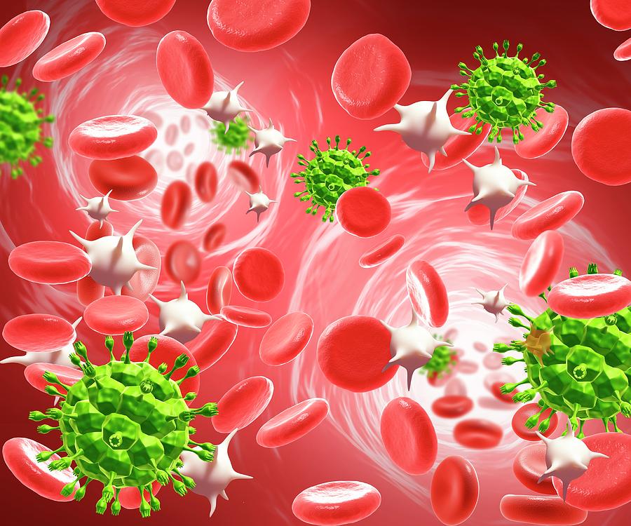 Hiv Particles Photograph by Pixologicstudio/science Photo Library - Fine Art America