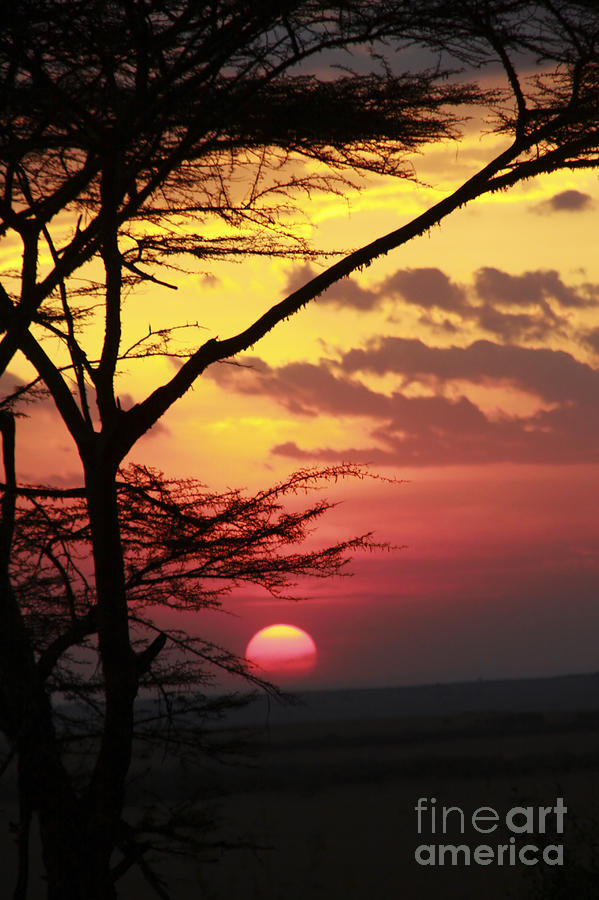 Kenyan Sunset #2 Photograph by Gilad Flesch - Fine Art America