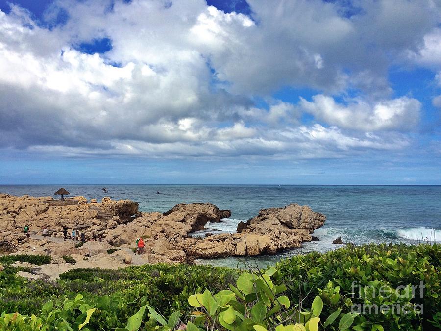 Labadee Photograph by Veronica Zalewa - Fine Art America