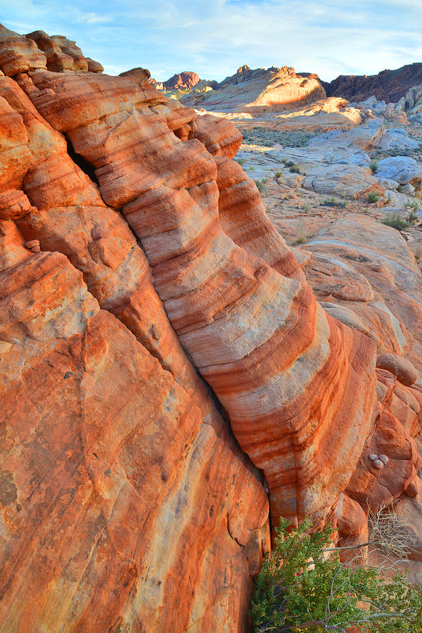 Last Light Photograph by Ray Mathis | Fine Art America