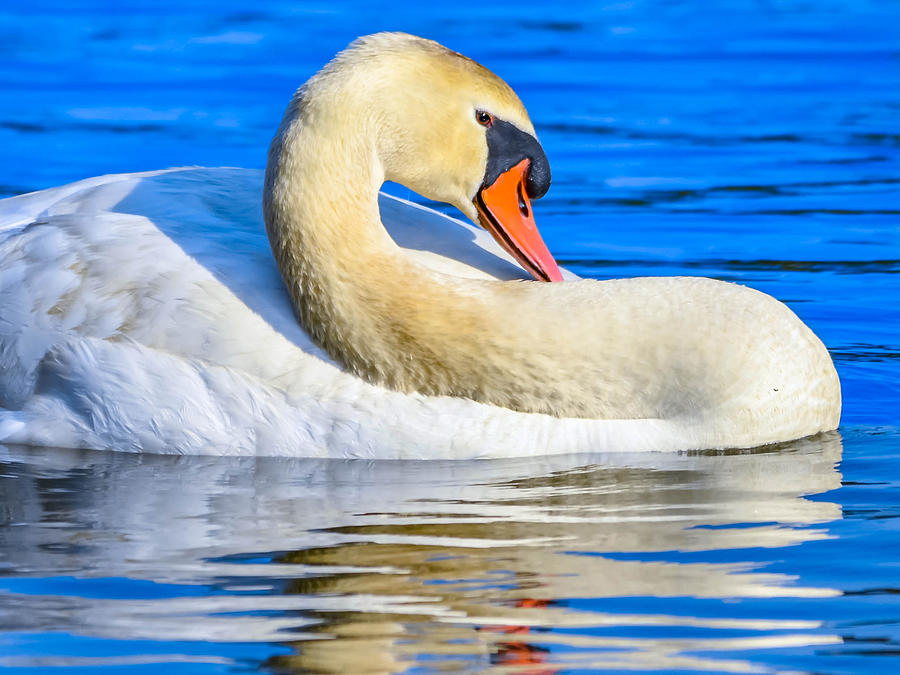 Lean Back Photograph By Brian Stevens