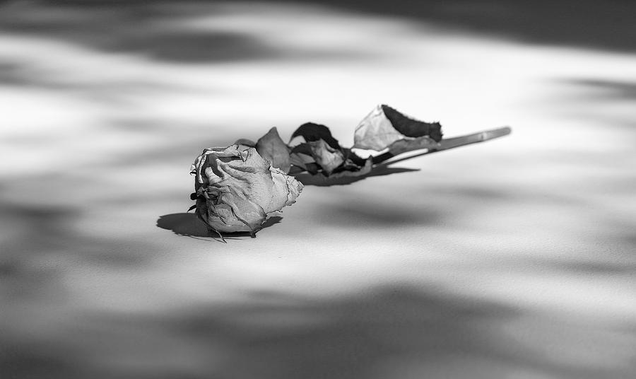 Left Behind Photograph by Viktor Savchenko - Fine Art America
