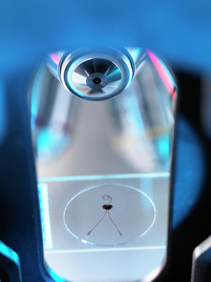 Microscope Sample #1 Photograph by Science Photo Library - Pixels Merch